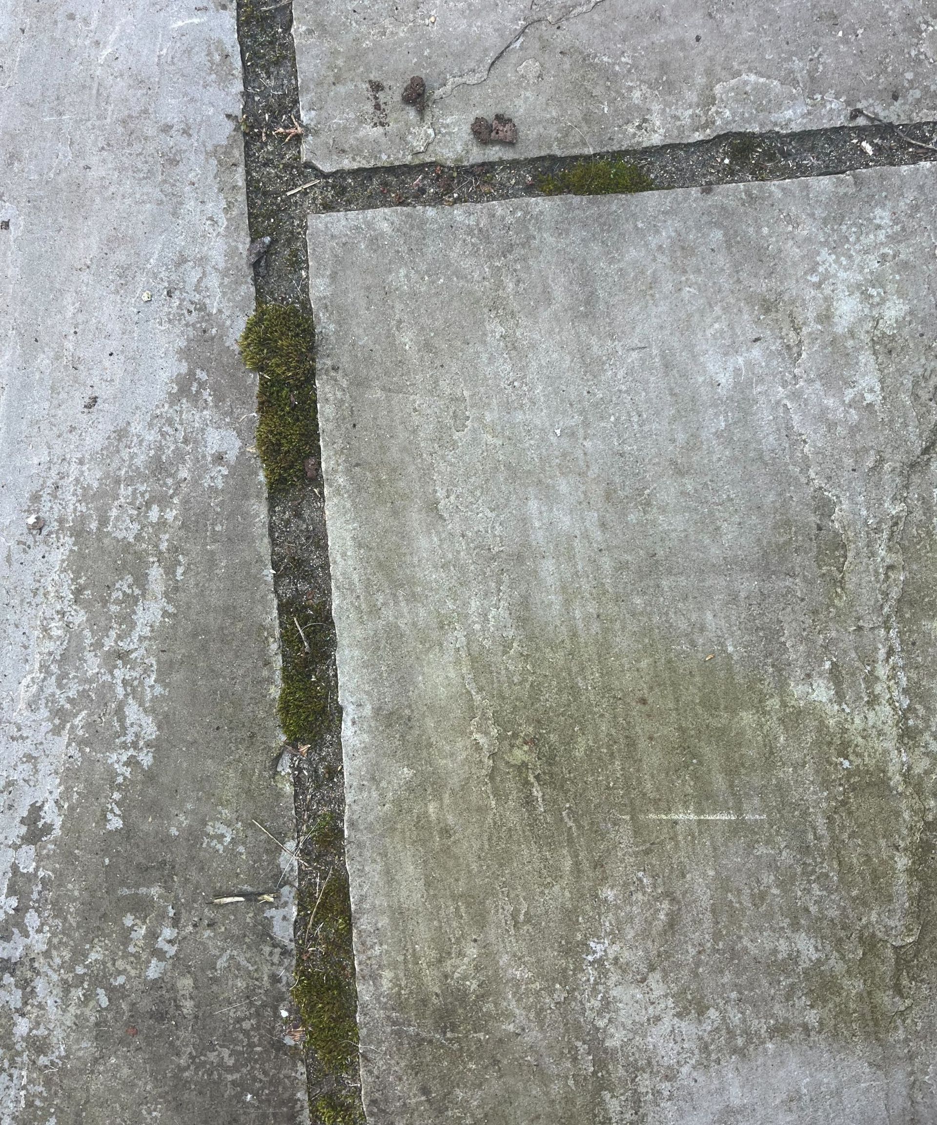 How to get rid of moss on a patio | Homes and Gardens