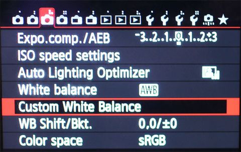 Canon EOS 70D DSLR: 7 Tips for Great Pics | Tom's Guide