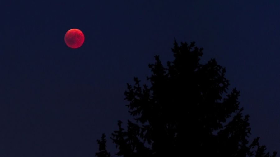 Everything you need to know about Sunday's 'super blood wolf moon ...