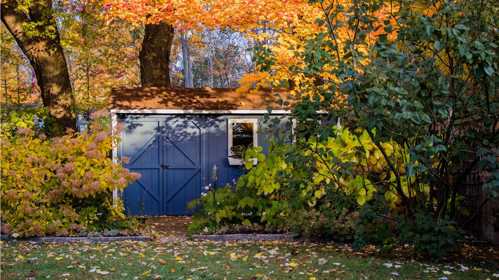 Why are there maggots in my house? Pest experts explain | Homes and Gardens