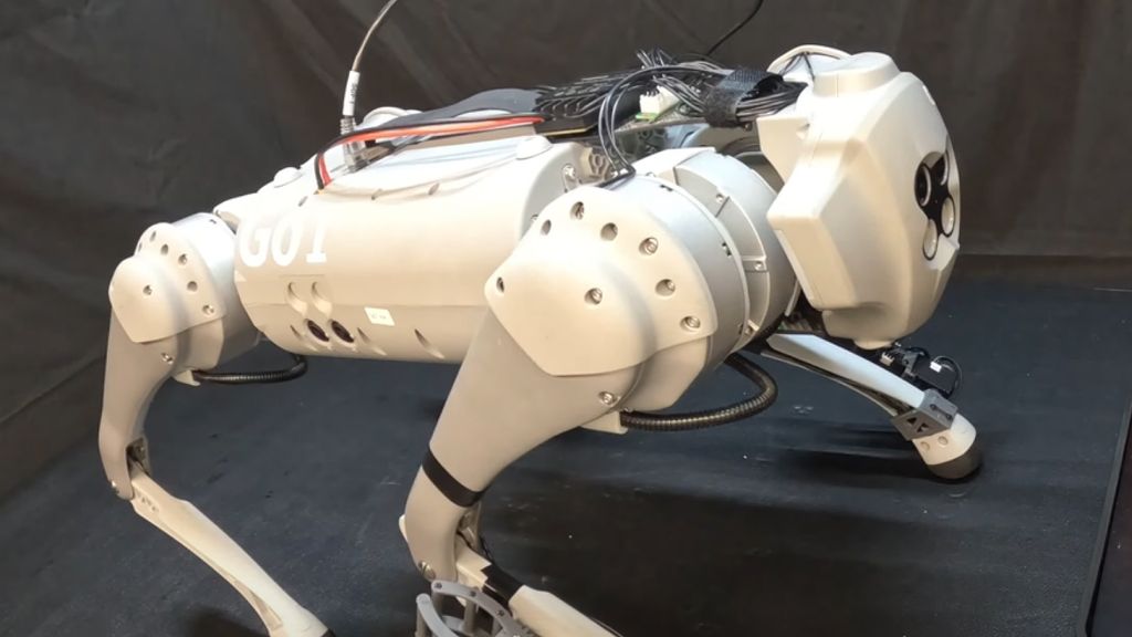 Meet LocoMan, the quirky robot dog that can stand up on its hind legs ...