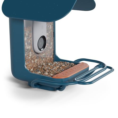 Bird Buddy 2.0 review: expert take on this feeder camera | Homes and ...