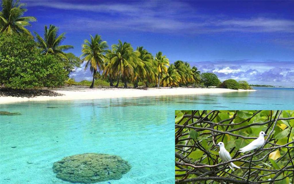 Escape to These 11 Surprisingly Affordable Private Islands for Sale ...