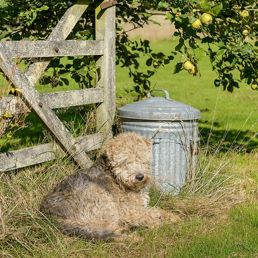Rubbish neighbours! Are you guilty of this bad bin etiquette? | Ideal Home