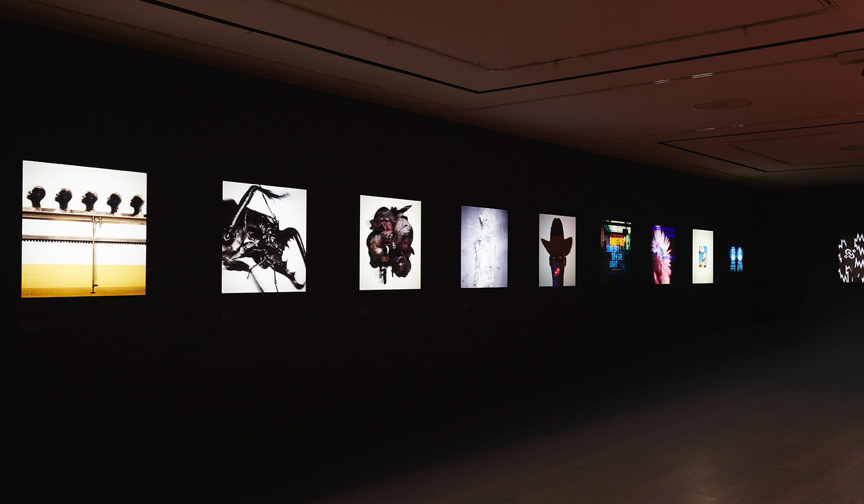 Tom Hingston talks album cover art and the future of rock | Wallpaper