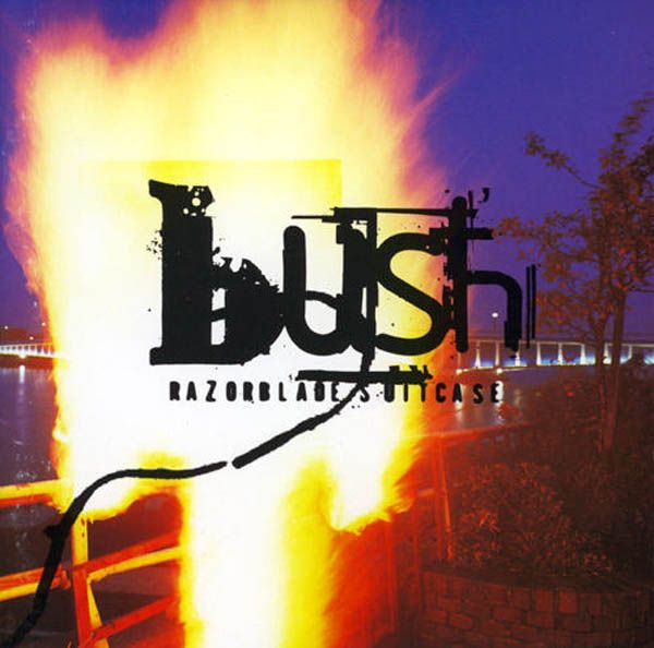 Photo Gallery: Albums of Bush | Guitar World