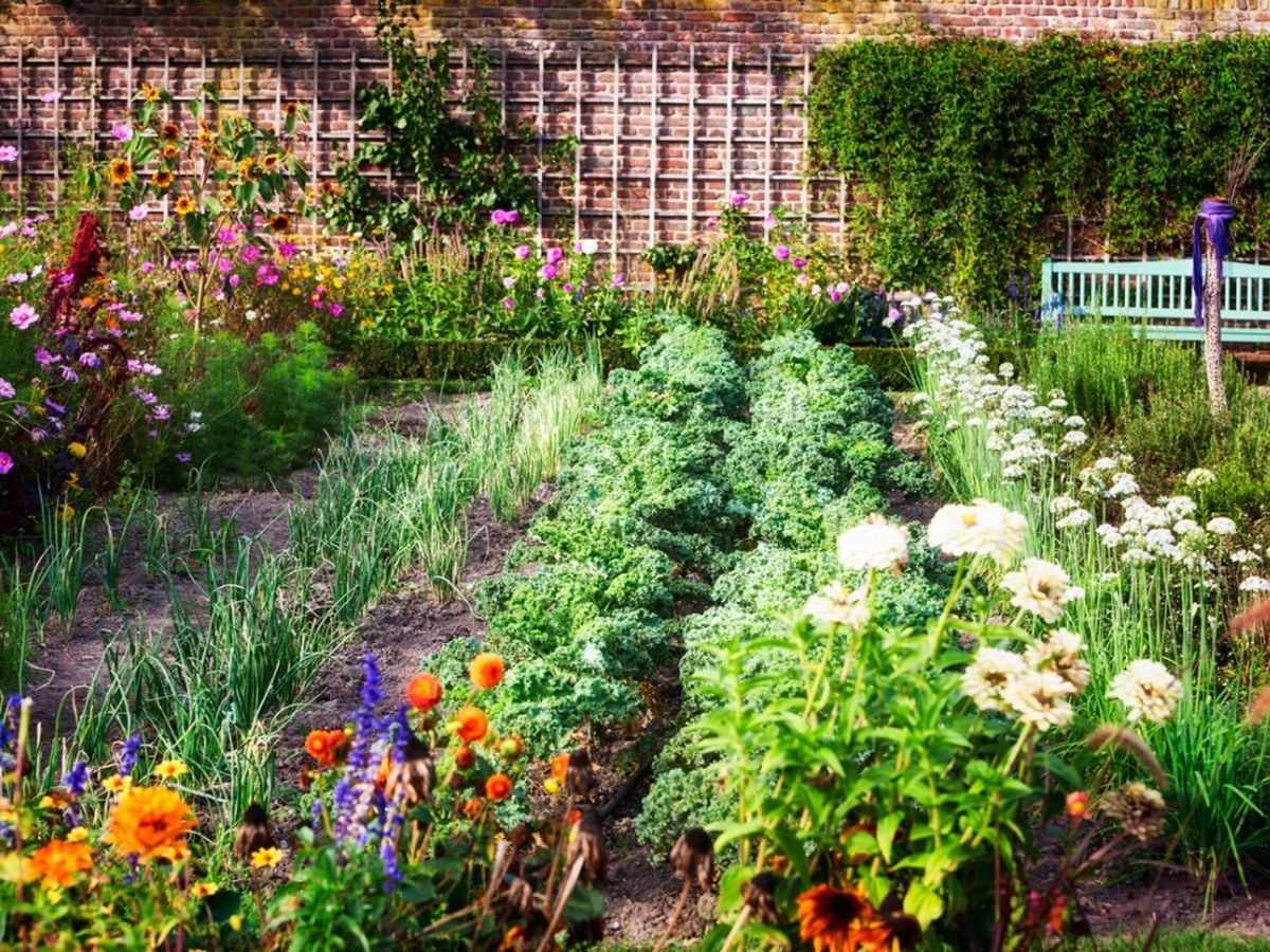 Best Flowers To Plant With Vegetables | Gardening Know How