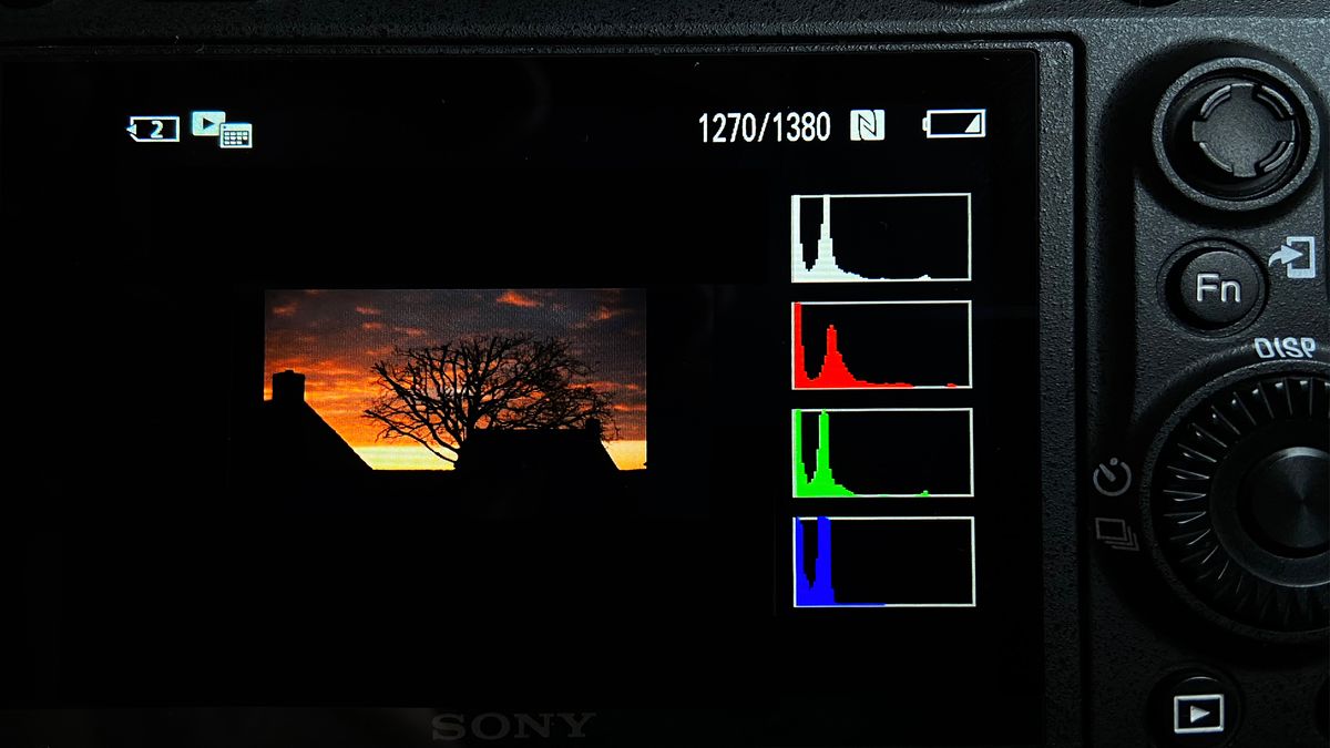 Capture eye-catching silhouettes and vibrant frames by breaking rules ...