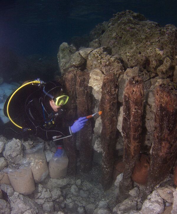 Harbor Near Ancient Corinth Turned It Into a Trading Hotspot | Live Science