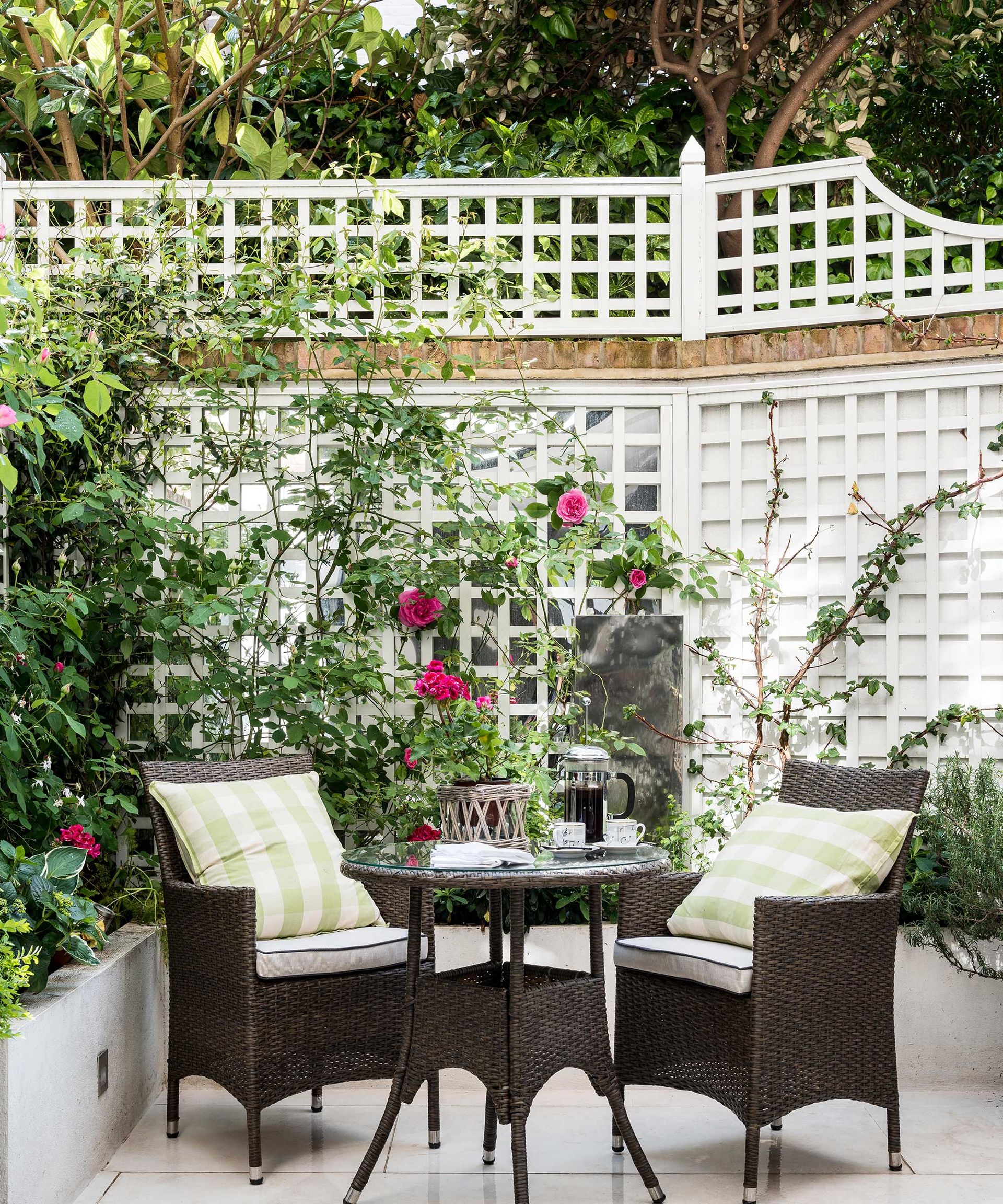 Climbing plant support ideas: 8 practical but pretty looks | Homes and ...