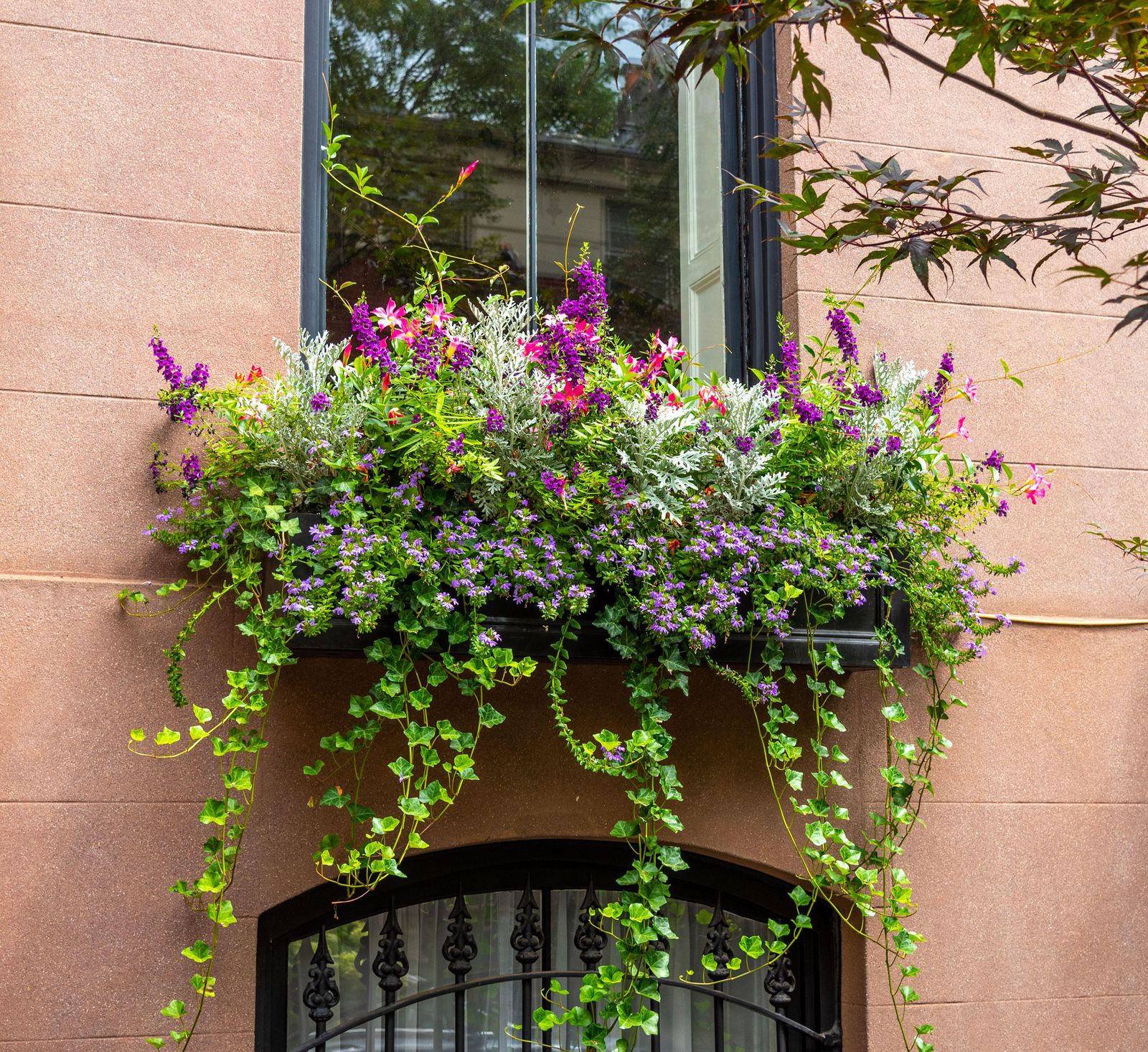 Best Flowers for Window Boxes — 7 Vibrant Varieties to Try | Livingetc