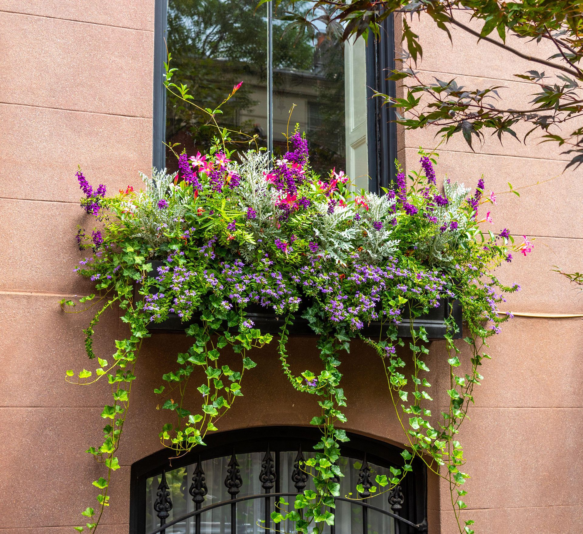Best Flowers for Window Boxes — 7 Vibrant Varieties to Try | Livingetc
