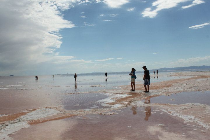 Gallery: Rainbow of Life in Great Salt Lake | Extremophiles | Live Science
