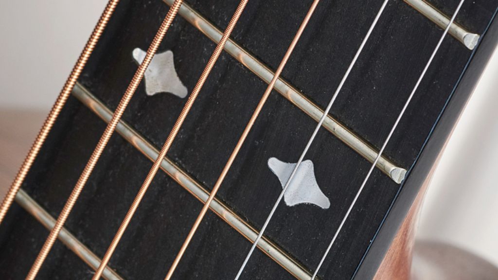 A Rough Guide to Guitar Fingerboard Materials | GuitarPlayer