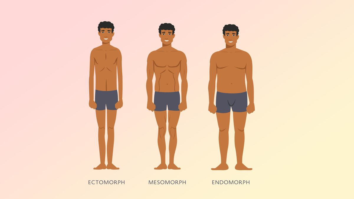Endomorph, Ectomorph, or Mesomorph? How to exercise for your body type ...