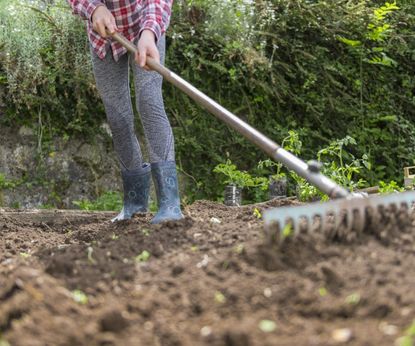 How to sow seeds outdoors: tips from an experienced gardener | Homes ...