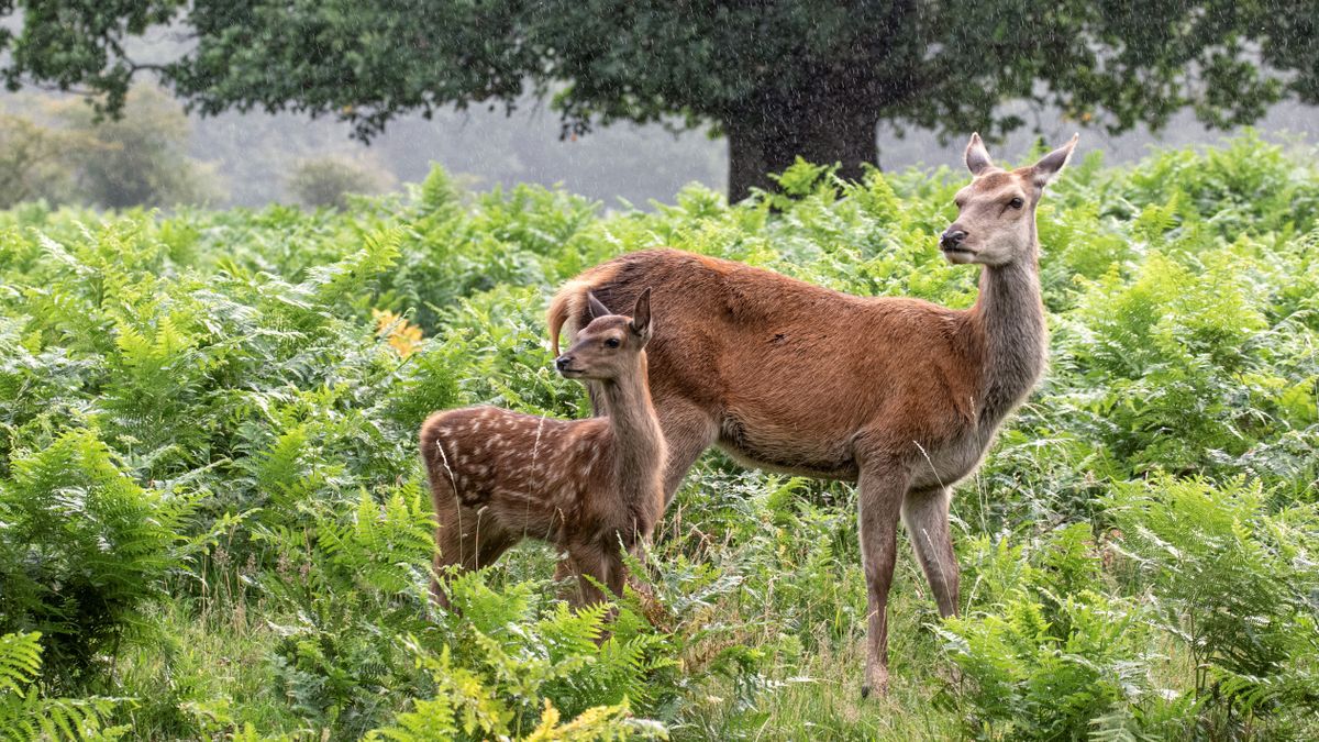 Watch your step, hikers – it's migration season | Advnture