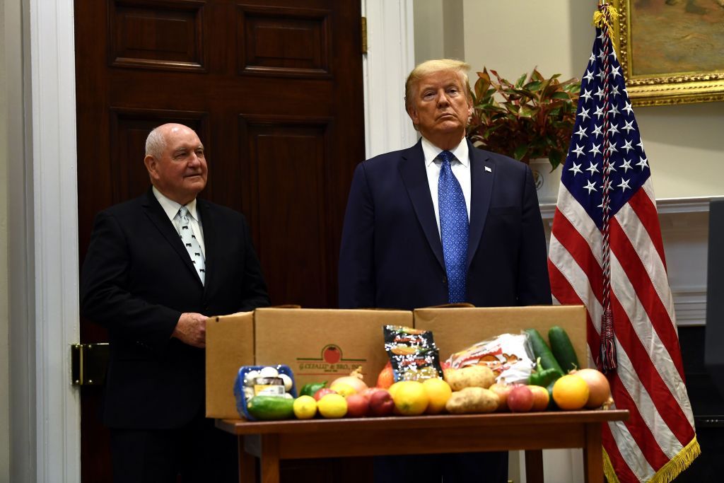 Trump suggests Virginians need 2nd amendment rights to 'guard your ...