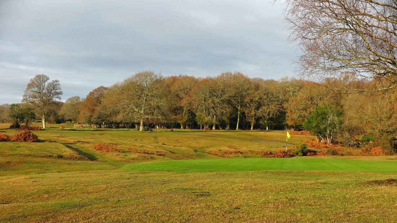 Bramshaw Golf Club Forest Course Review | Golf Monthly