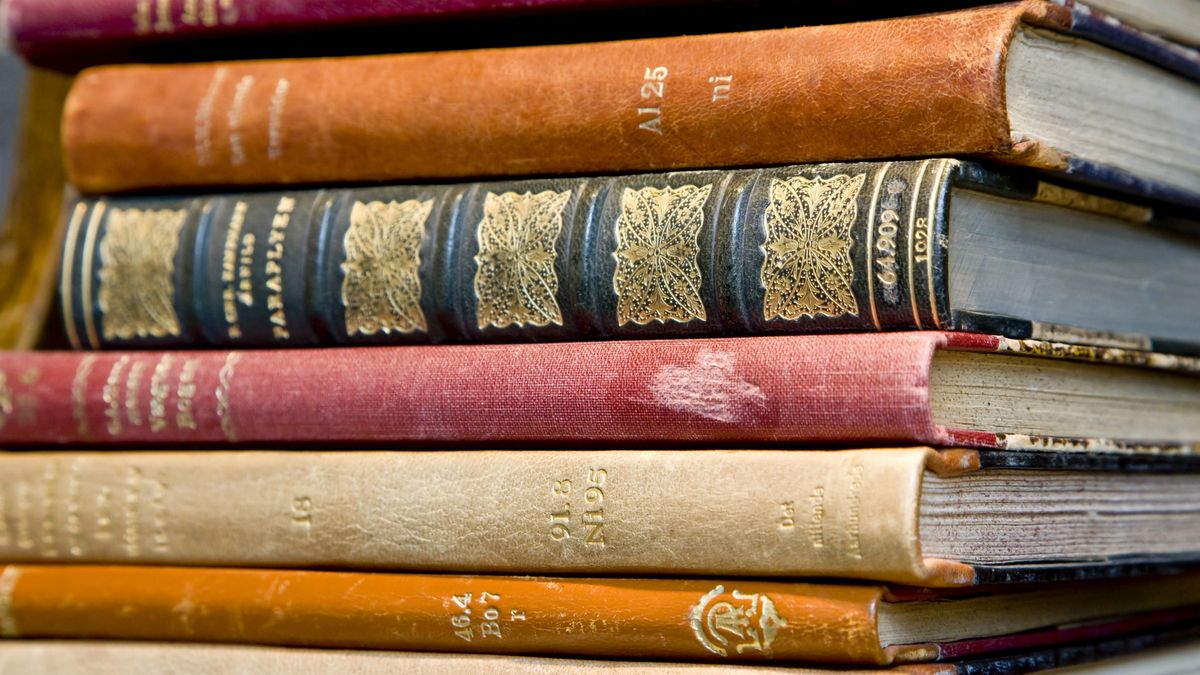 How To Write A Novel By Commissioning Editor & Author Phoebe Morgan ...