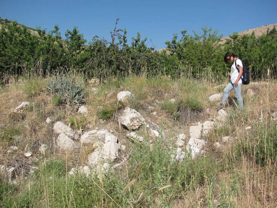 Photos: Centuries of History Revealed Beneath Roman Ruins | Live Science