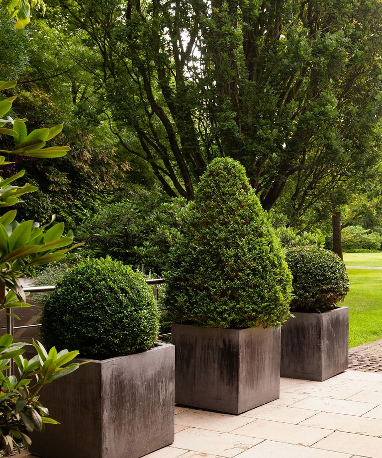 Landscaping with shrubs: 10 looks for your backyard | Homes and Gardens
