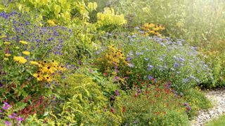Are plant mutations bad? And 5 ways expert gardeners avoid them | Homes ...