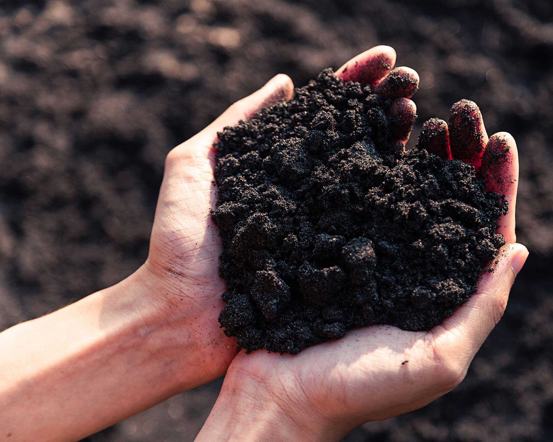 Guide to soil types: discover the best plants for your plot | Gardeningetc