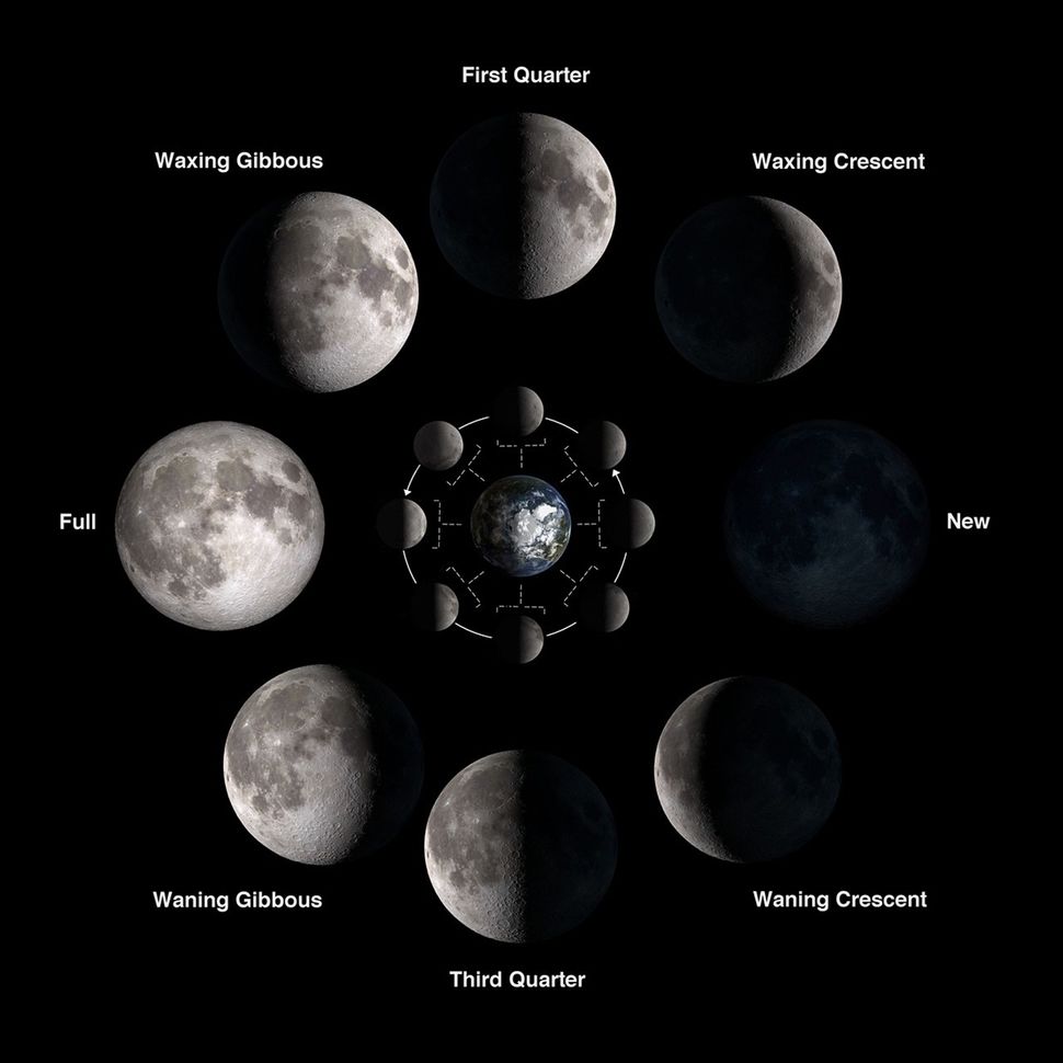 Full moons of 2026: When is the next full moon? | Live Science
