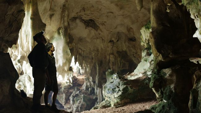 Oldest medical amputation on record was performed on a Stone Age child ...