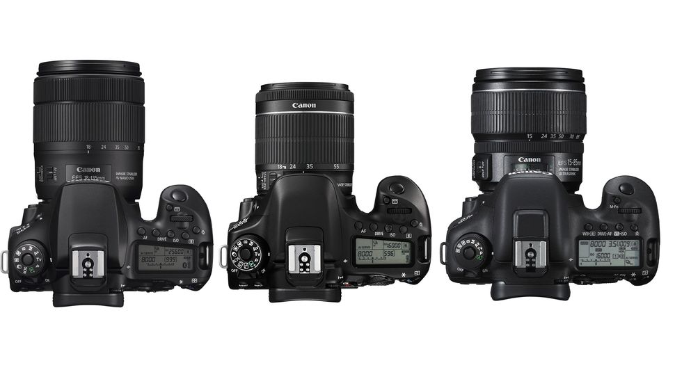 Canon EOS 90D vs EOS 80D vs EOS 7D Mark II: 12 key differences ...