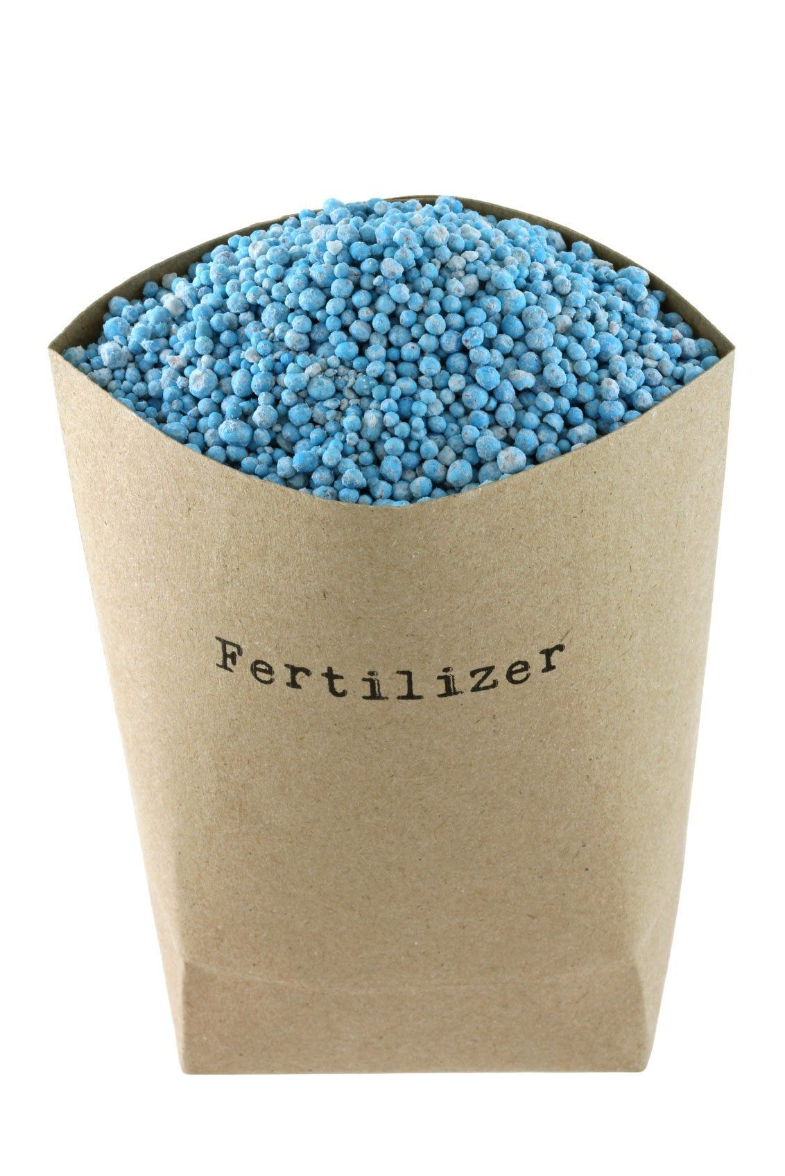 Fertilizer Application Times - Best Time Of Day And Time Of Year For ...
