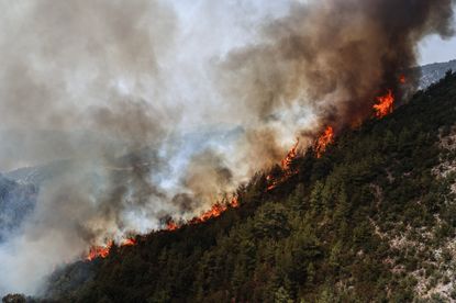 UN IPCC 'Code Red' Climate Report: 10 need-to-knows | Marie Claire UK