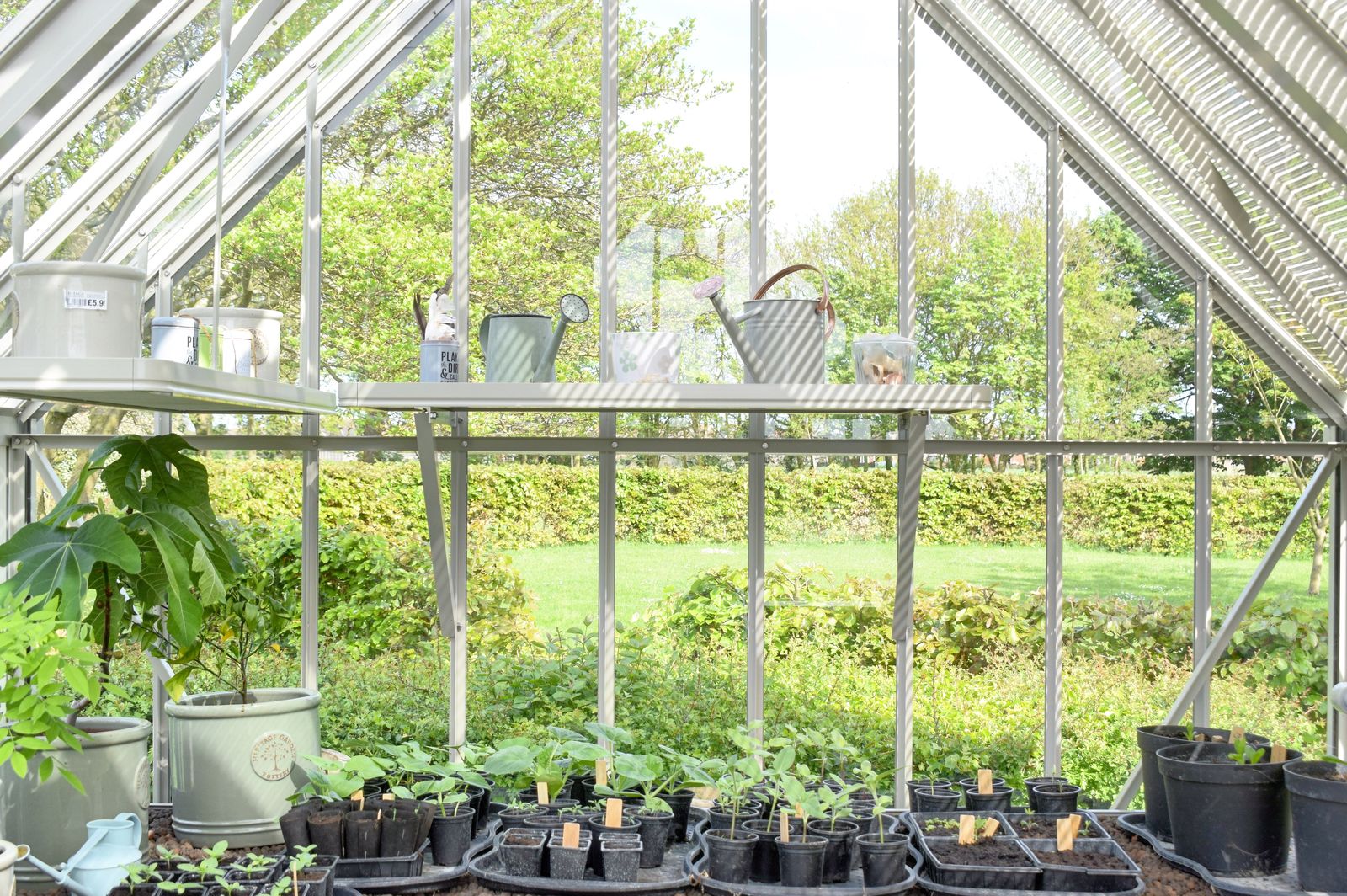 Greenhouse growing calendar: a month-by-month guide for delicious crops ...