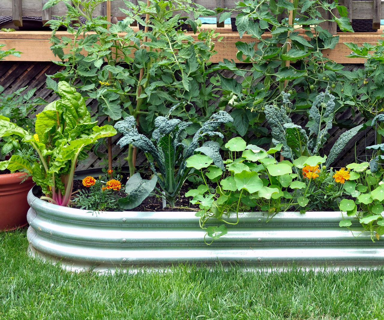 Easy Thriller Filler Spiller Ideas For A Container Garden | Gardening ...