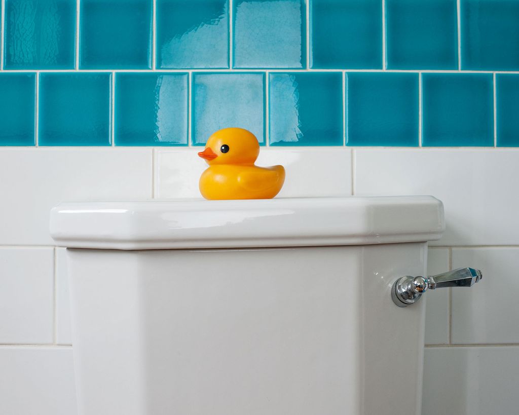 How to fix a running toilet: in 6 simple steps | Homes and Gardens