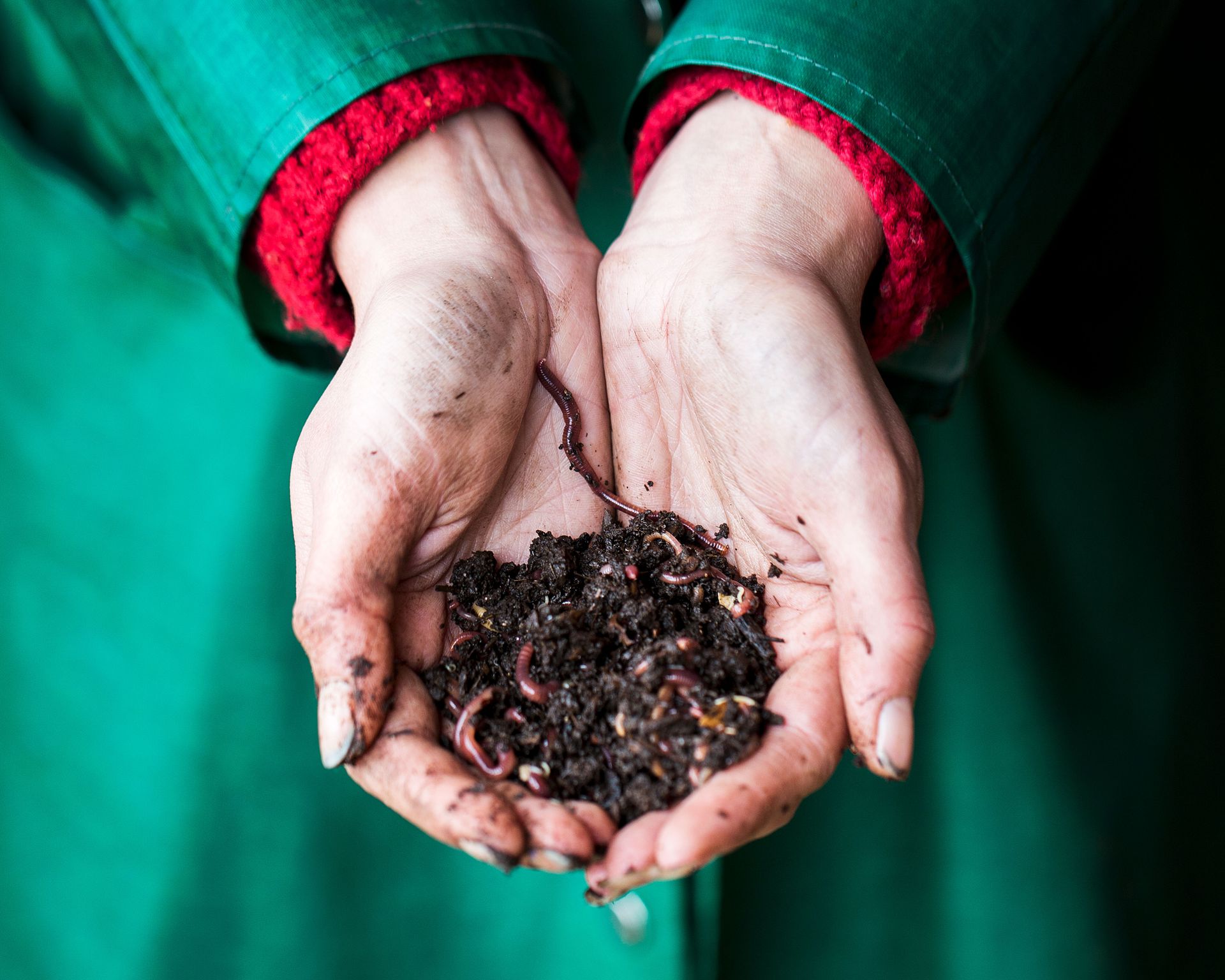 How to use a wormery for compost: guide to worm compost bins | Homes ...