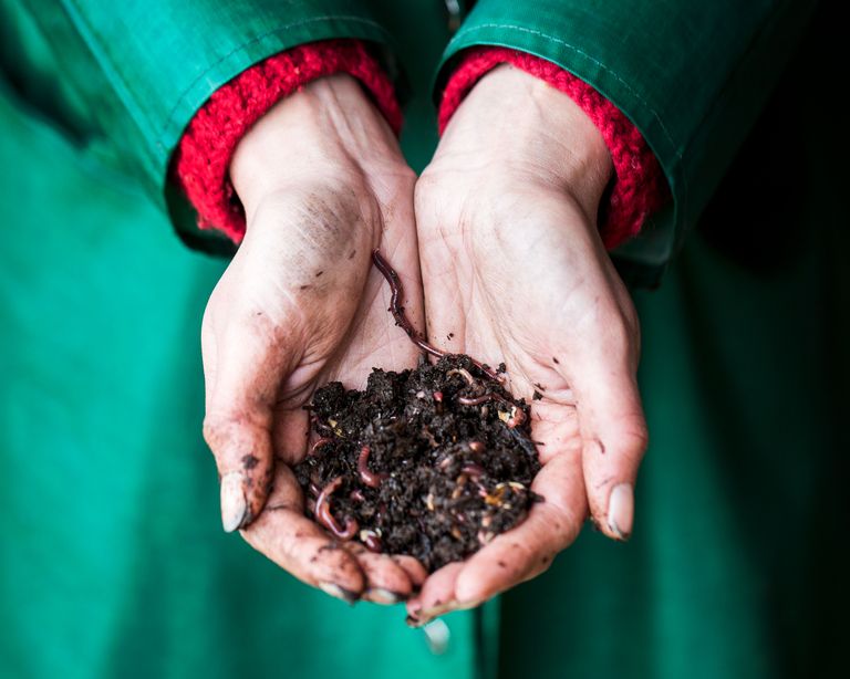 How to use a wormery for compost: guide to worm compost bins | Homes ...