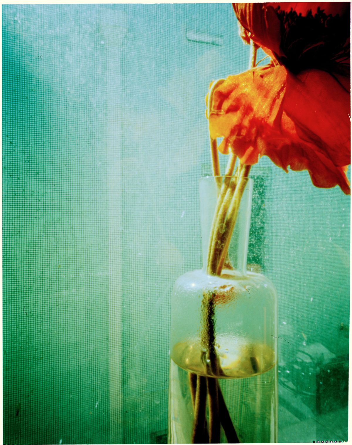 The art of seeing #20: Photography with the wrong chemicals and no lens ...