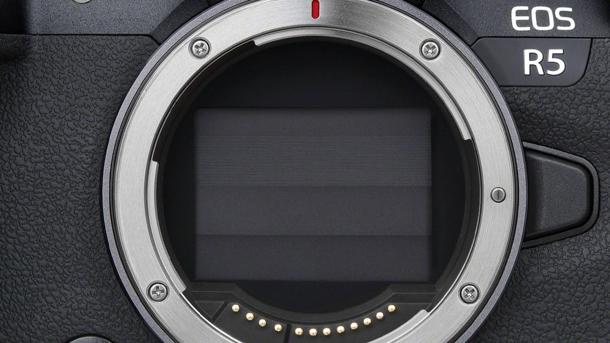 Canon EOS R5 vs EOS R6: 10 key differences you need to know | TechRadar