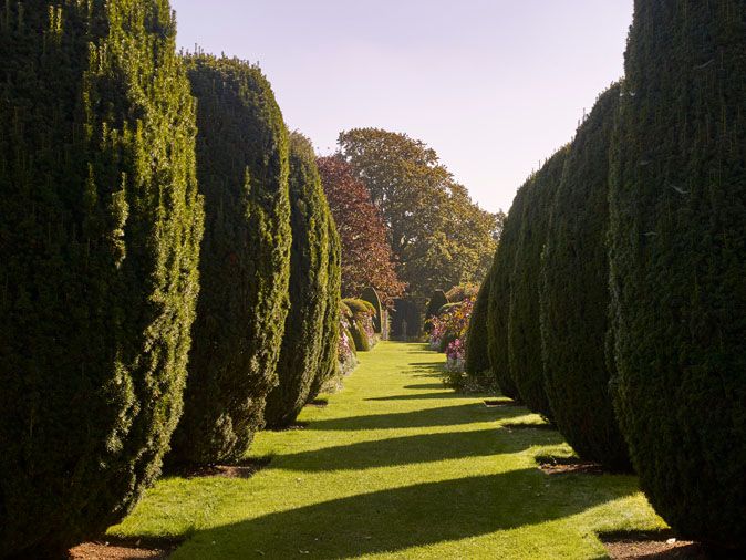 Hinton Ampner: The great Hampshire house shaped by fire, fashion and ...