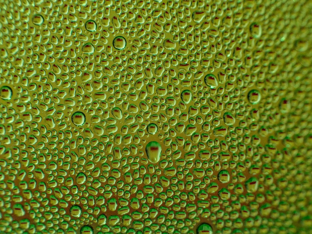 What Is Trypophobia? | Live Science