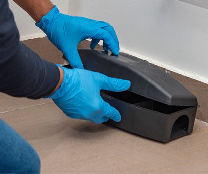 How to get rid of mice from a garage: 6 mouse-proofing steps | Homes ...