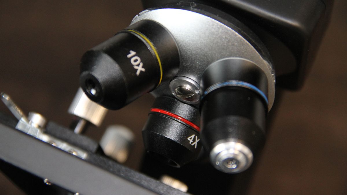 Bresser Biolux Touch 5MP HDMI digital microscope review | Digital ...