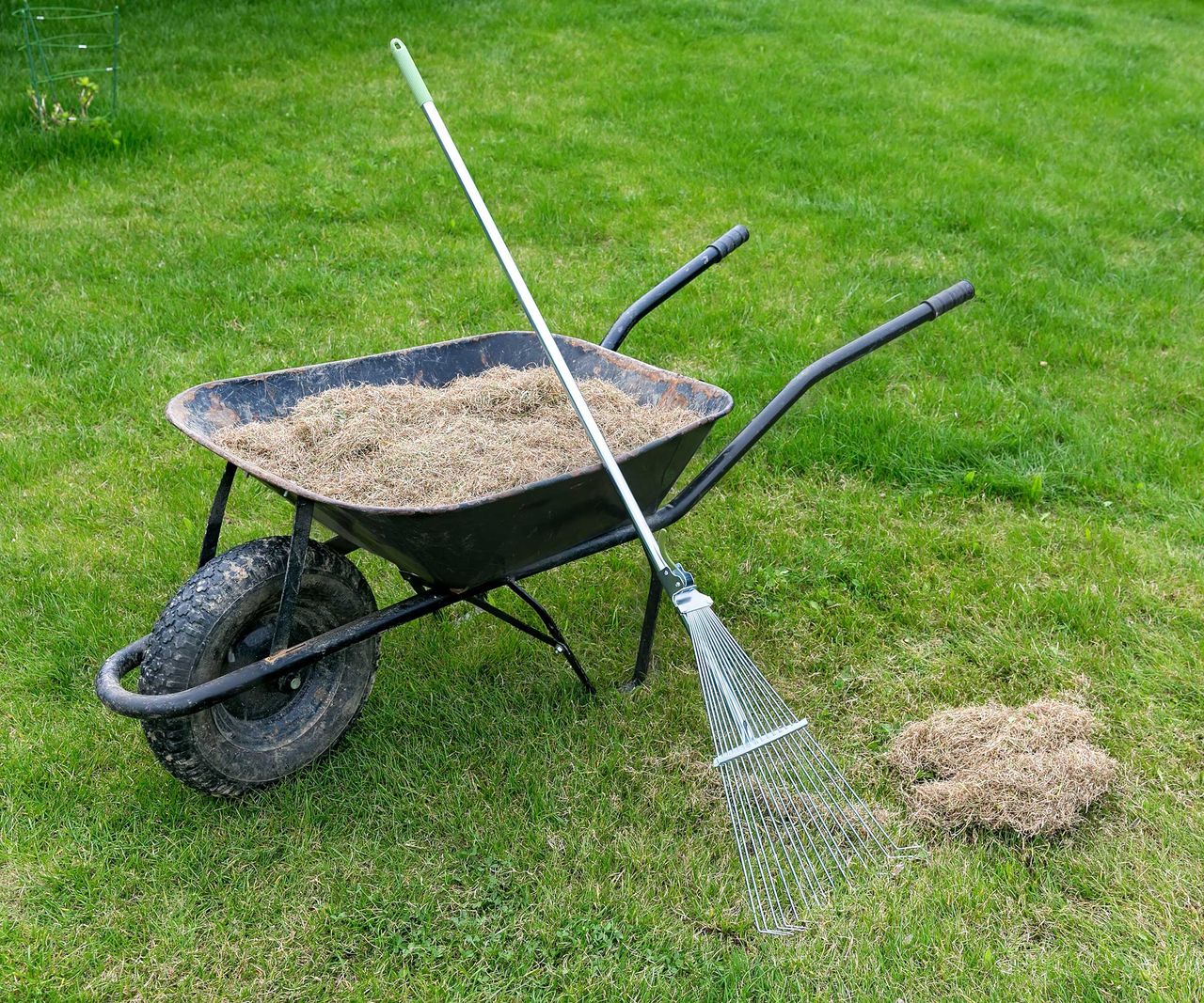 Spring lawn care - 7 tasks to complete for healthy grass | Homes and ...