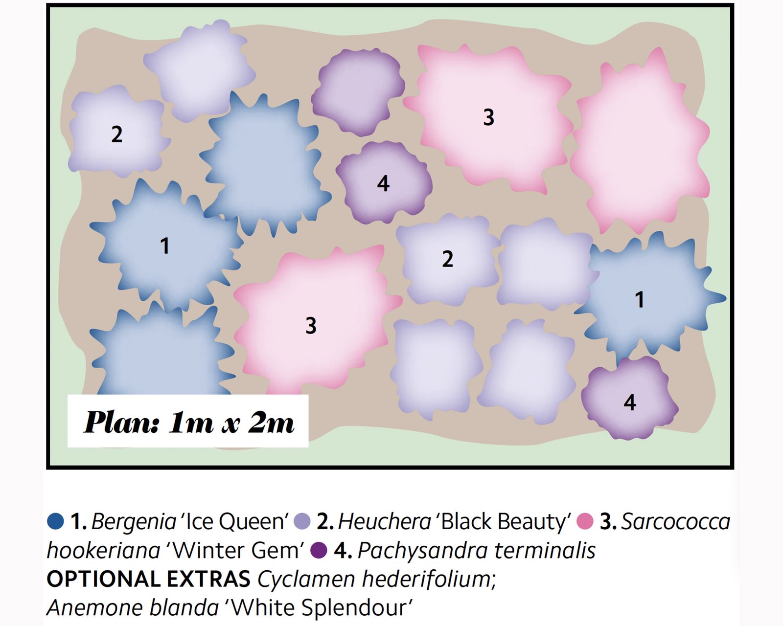 Garden border planting ideas: 6 stunning layouts to try | Gardeningetc