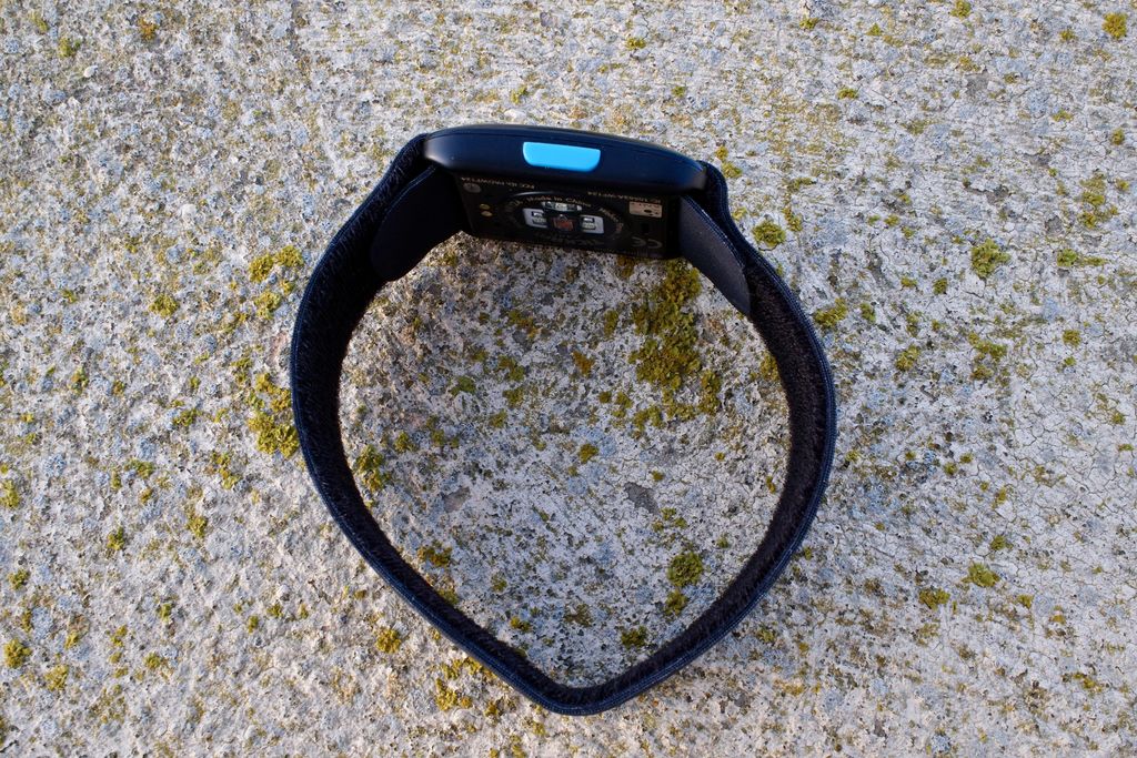 Wahoo TICKR FIT armband review: Great for riders who don't like chest ...