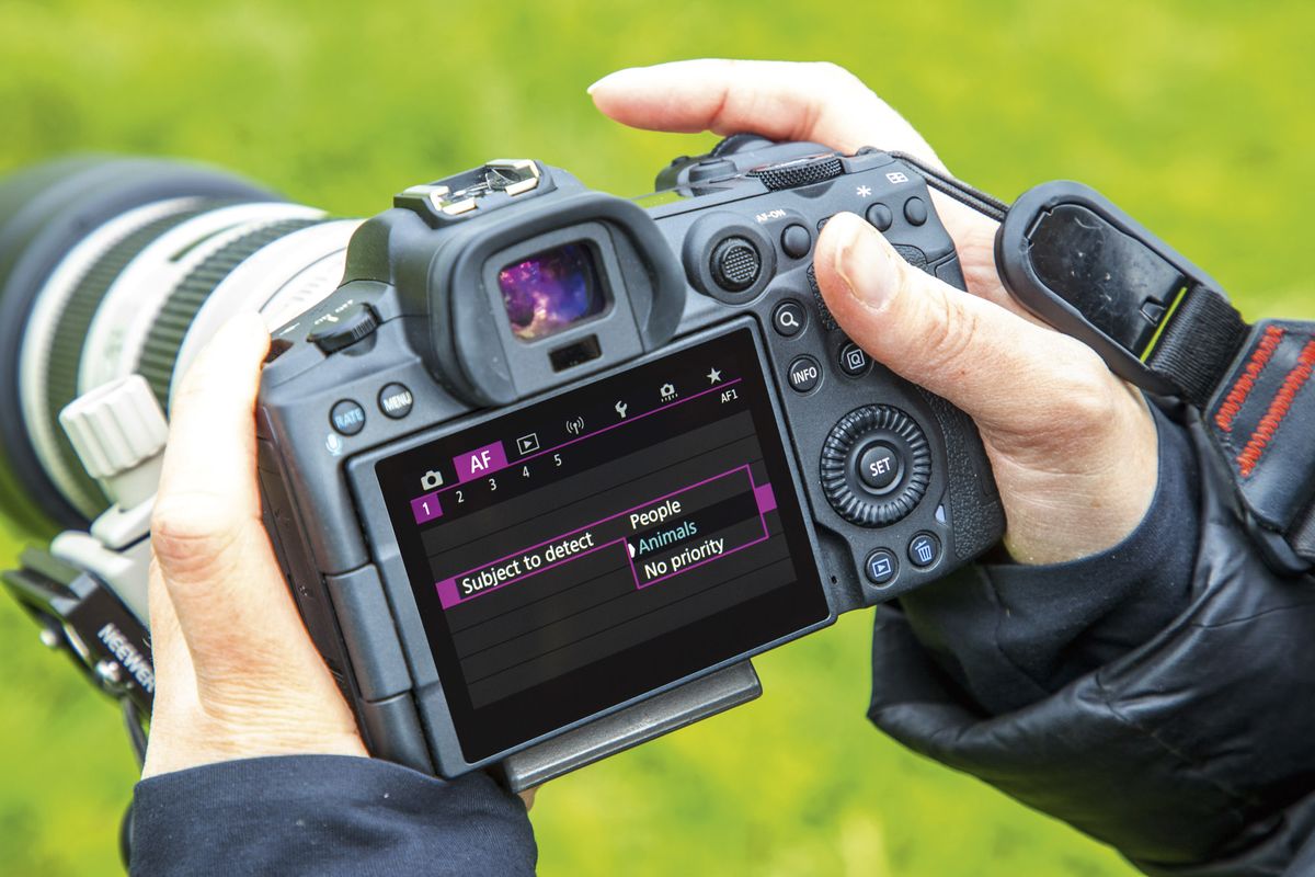 10 pet photography tips: Take amazing puppy portraits at home | Digital ...