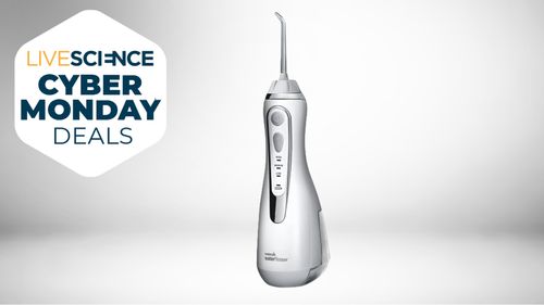 Anatomy News - all the latest about Anatomy - Page 2 | Live Science