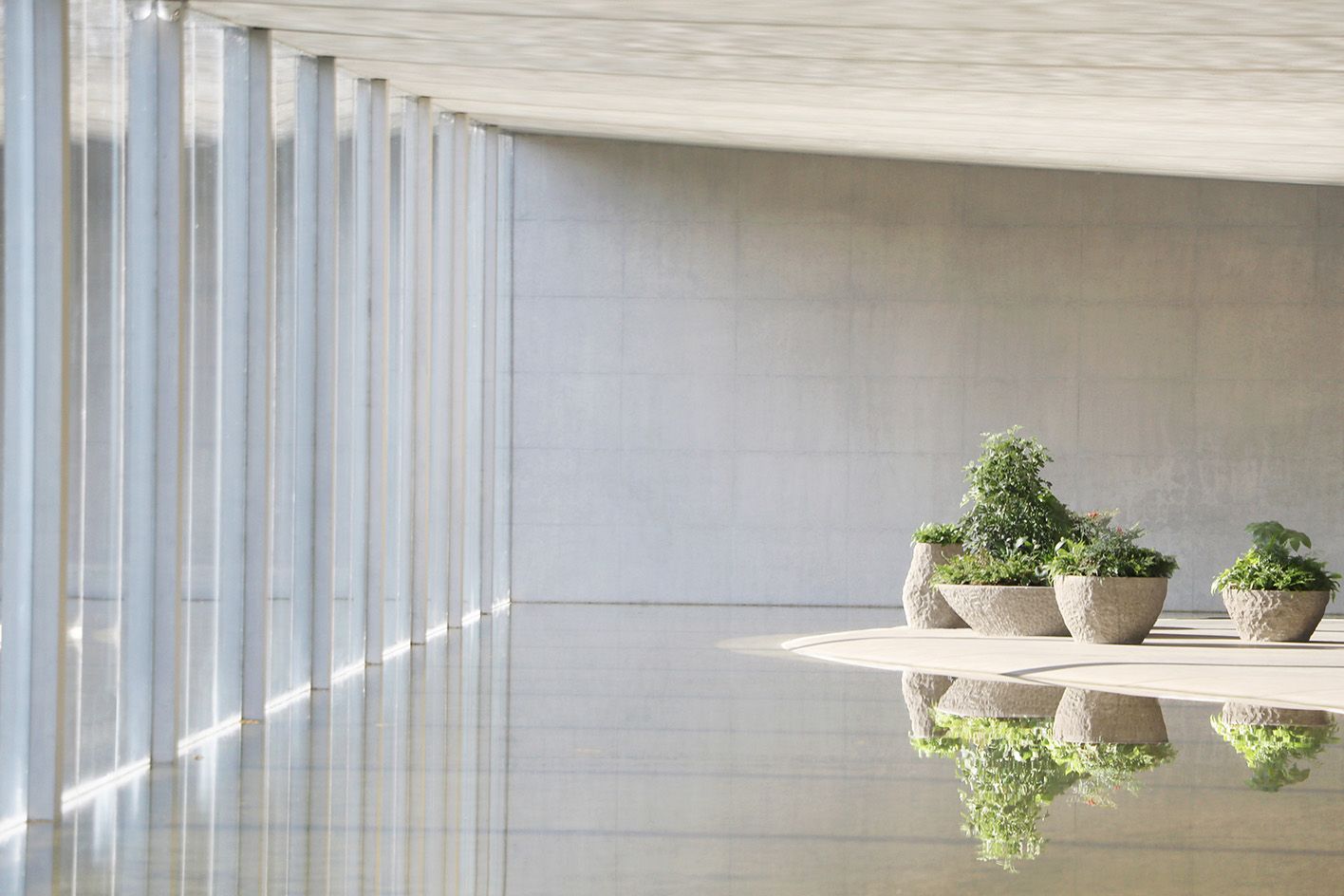 Junya Ishigami’s Zaishui Art Museum opens in China | Wallpaper